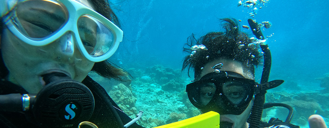 Discover Scuba Diving - OG dive SERVICE